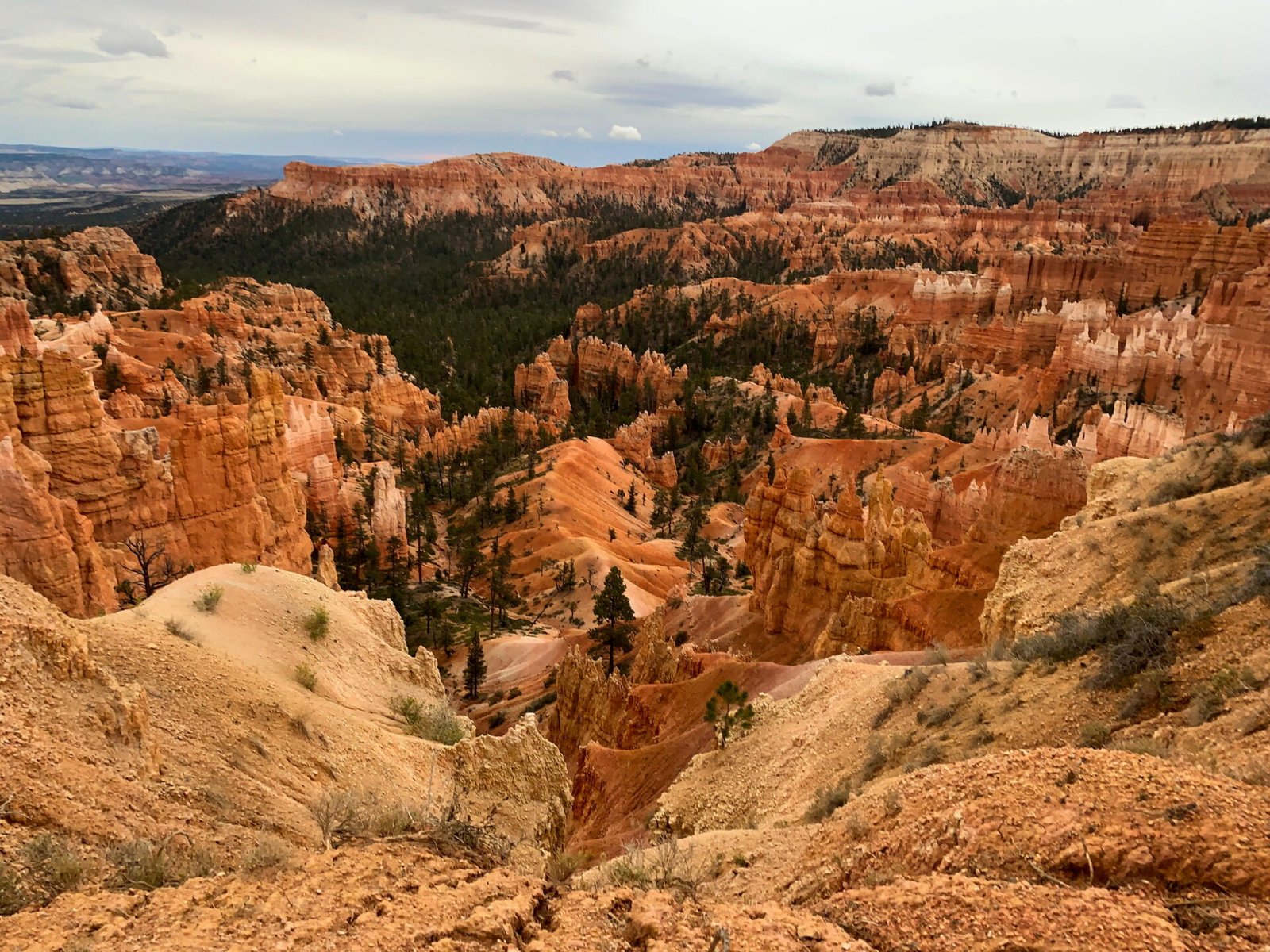 Bryce Canyon in the Rain - Tips for Your Visit