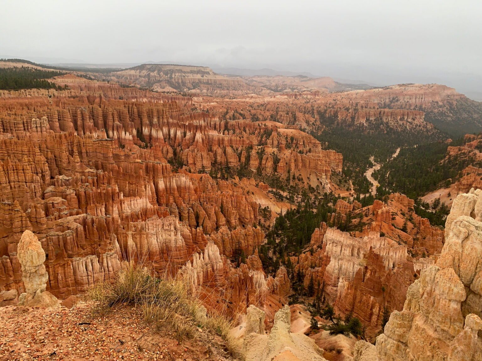 Bryce Canyon in the Rain - Tips for Your Visit