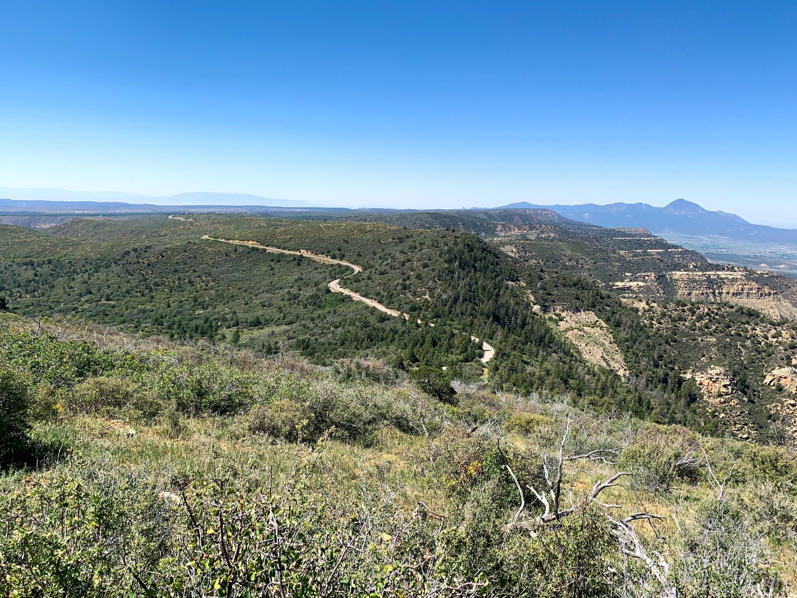 The Best Things to Do at Mesa Verde National Park