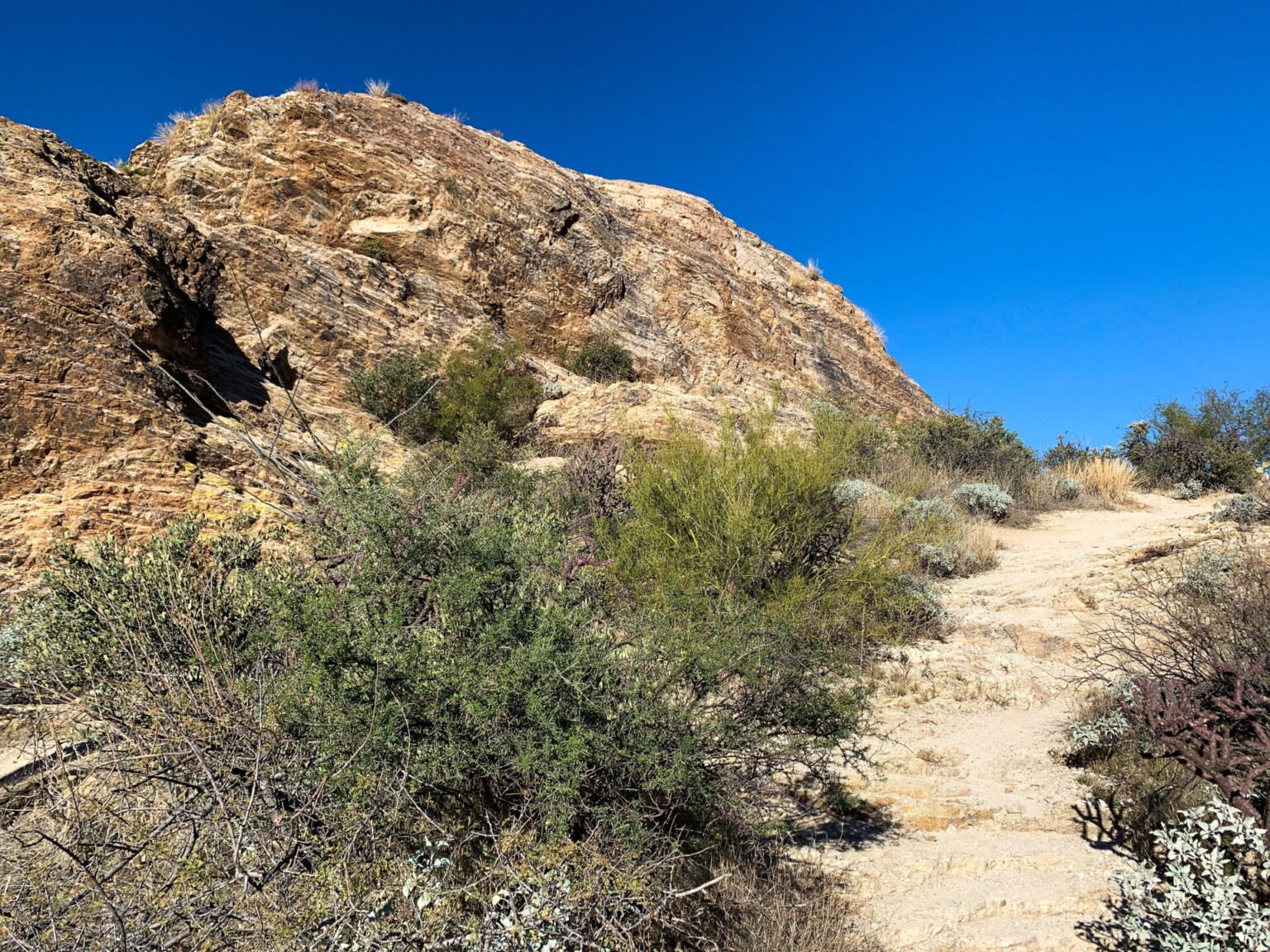 One Day in Saguaro National Park - 14 Fun Things to Do