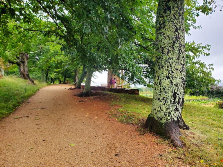 How to Visit Monticello - Highlights & Best Tips