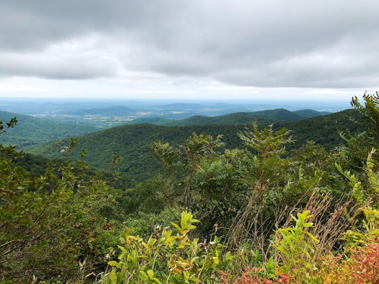 One Day in Shenandoah National Park - Best Things to Do