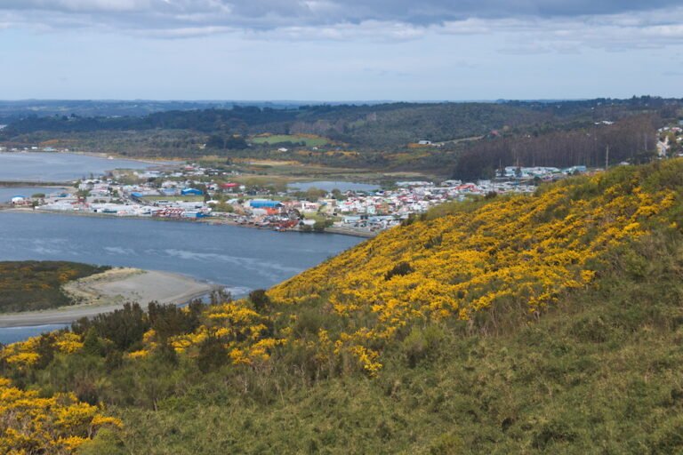 A Scenic Day Trip to Chiloé Island from Puerto Varas, Chile