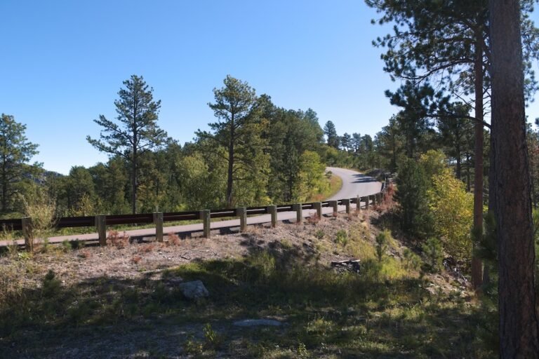 8 Fun Things to Do at Custer State Park & One Day Itinerary