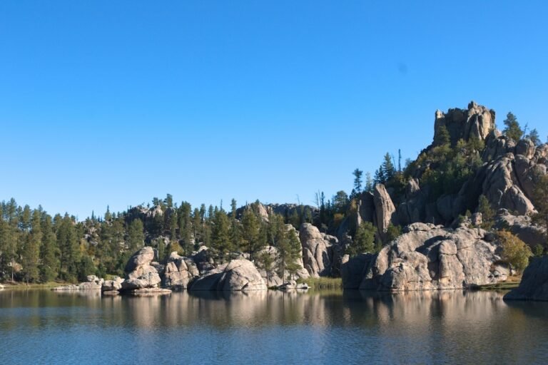 8 Fun Things to Do at Custer State Park & One Day Itinerary