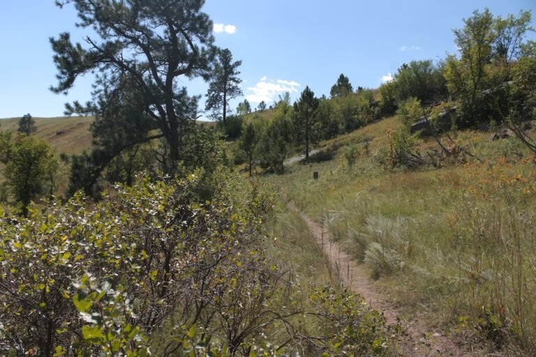 The Best Things to Do at Wind Cave National Park - Atlas Obsession